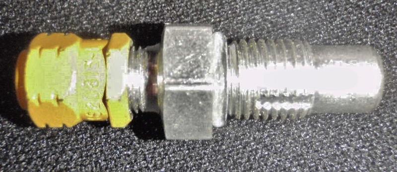 Schrader Pacific 5474201 Accumulator Intake Valve With Cap Garden